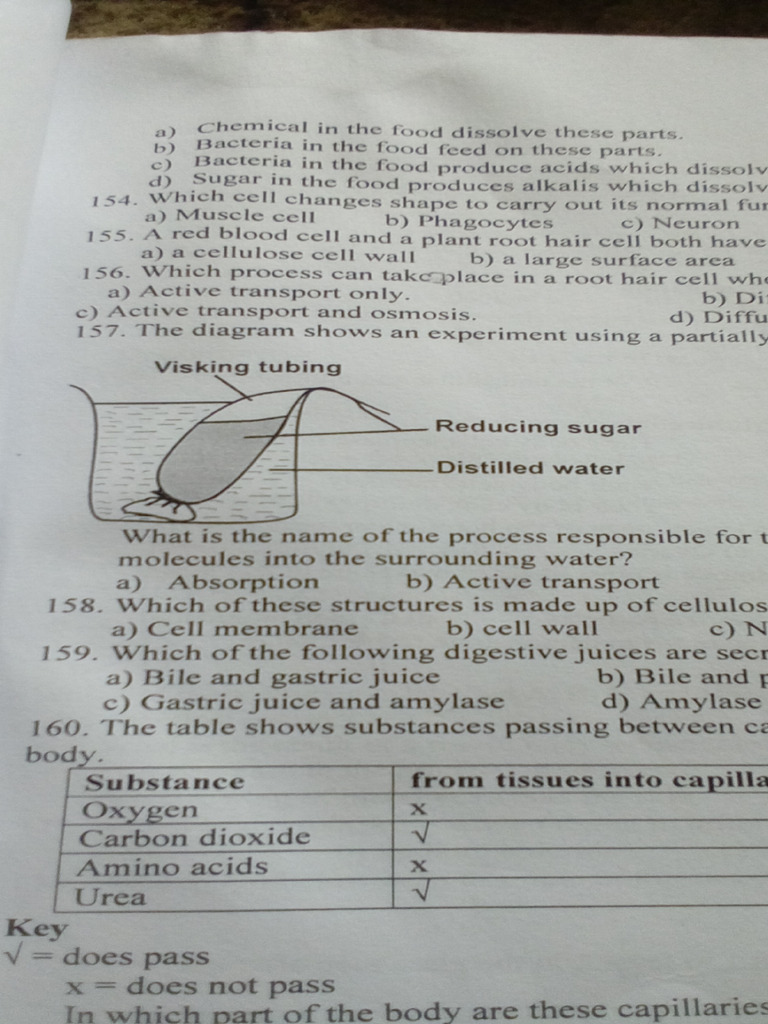 PDF Img2pdf 14apr24 1159 | PDF