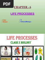 Life Process Handwritten Notes Class 10th | PDF