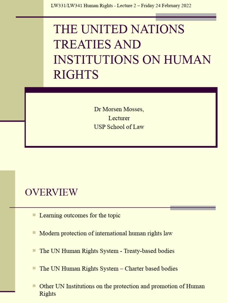 UN Human Rights Treaties Overview | PDF | Human Rights | Treaty