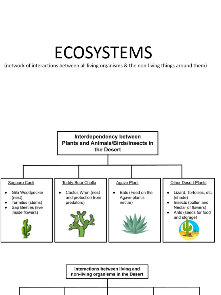 pptFE52.pptm (Autosaved) | PDF | Desert | Mangrove pptFE52.pptm (Autosaved) | PDF | Desert | Mangrove