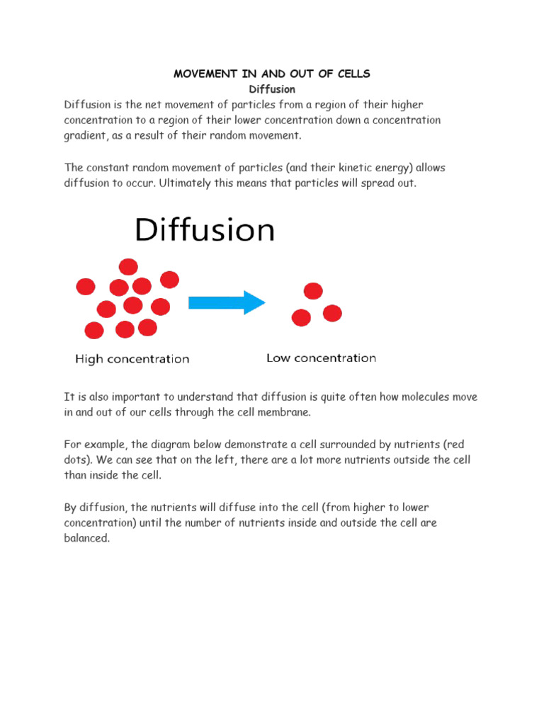 MOVEMENT IN AND OUT OF CELLS | PDF | Heart | Atrium (Heart)
