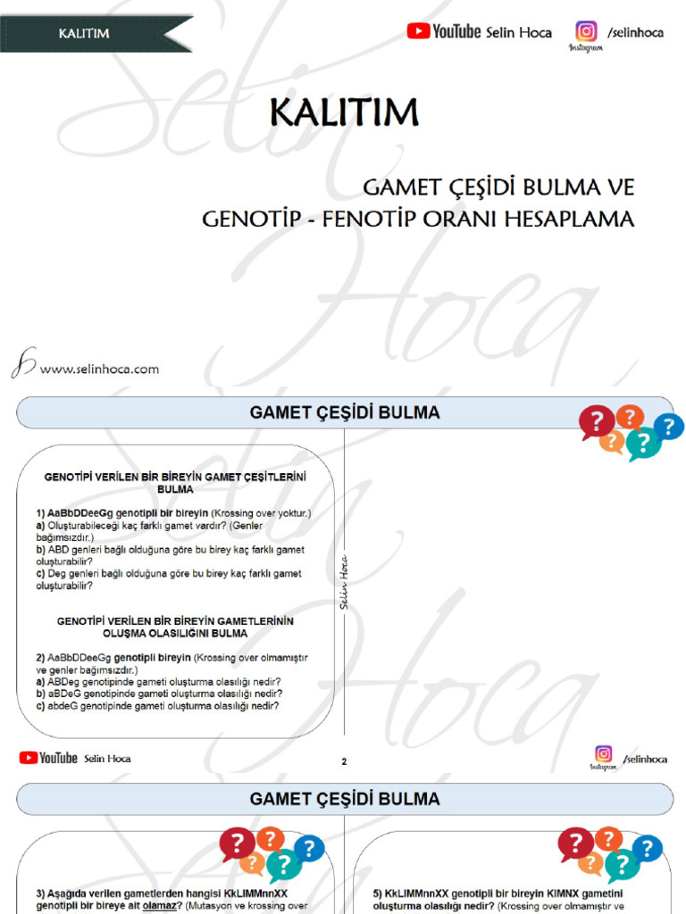 Kalıtım Gamet Bulma | PDF
