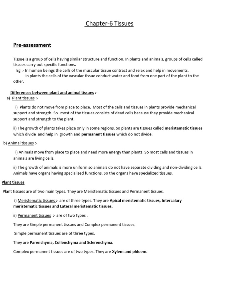 Chapter-6 Tissues-Full Notes | PDF | Epithelium | Tissue (Biology)