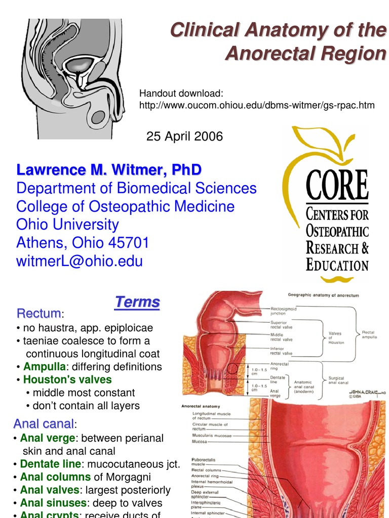 Anorectal Clinical | Rectum | Hemorrhoid