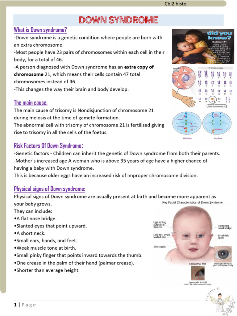 CBL 2 Histo | PDF | Down Syndrome | Health Sciences