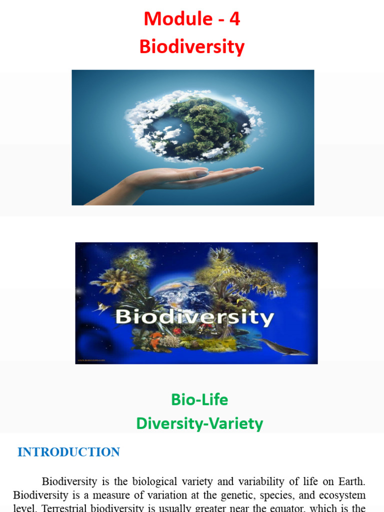 Module 4 | PDF | Ecosystem | Biodiversity