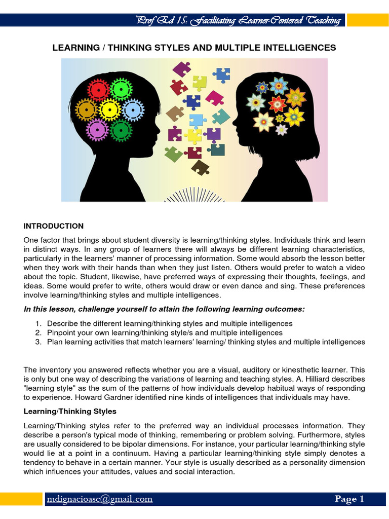 10 Learning Thinking Styles And Multiple Intelligences Pdf