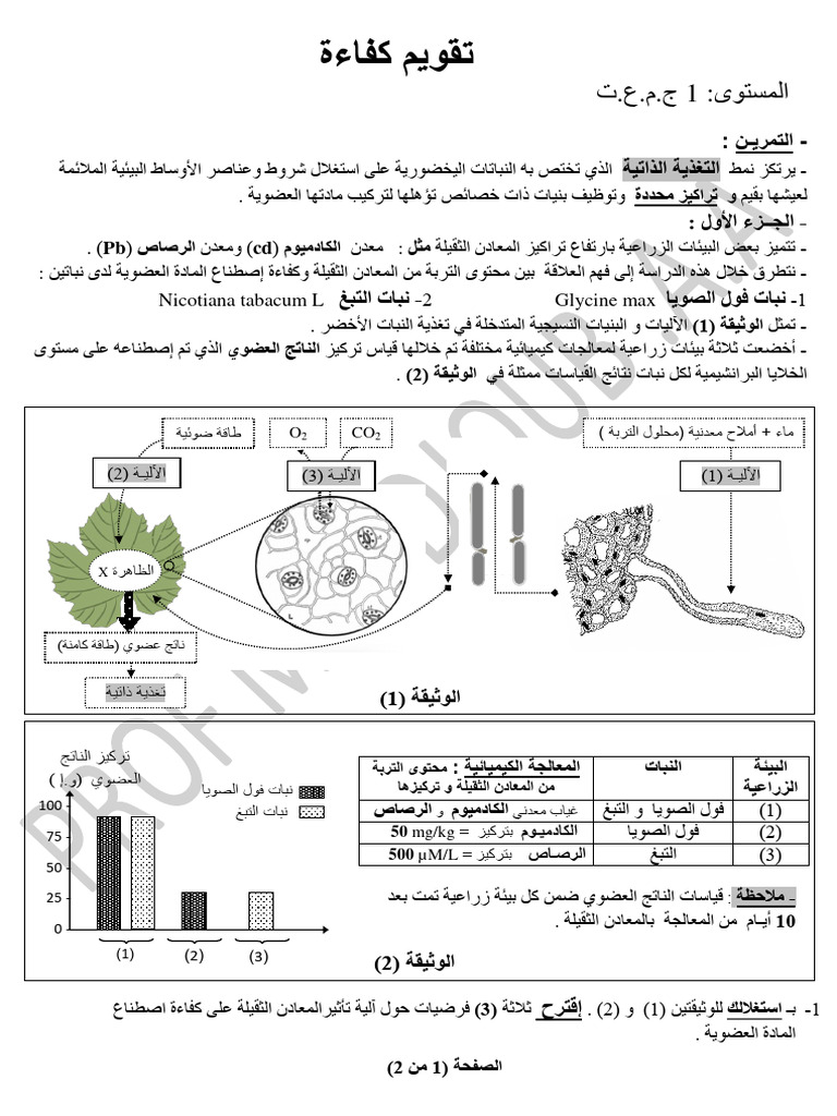 Devoir Correction 1er Mahdjoub 2024 Pdf