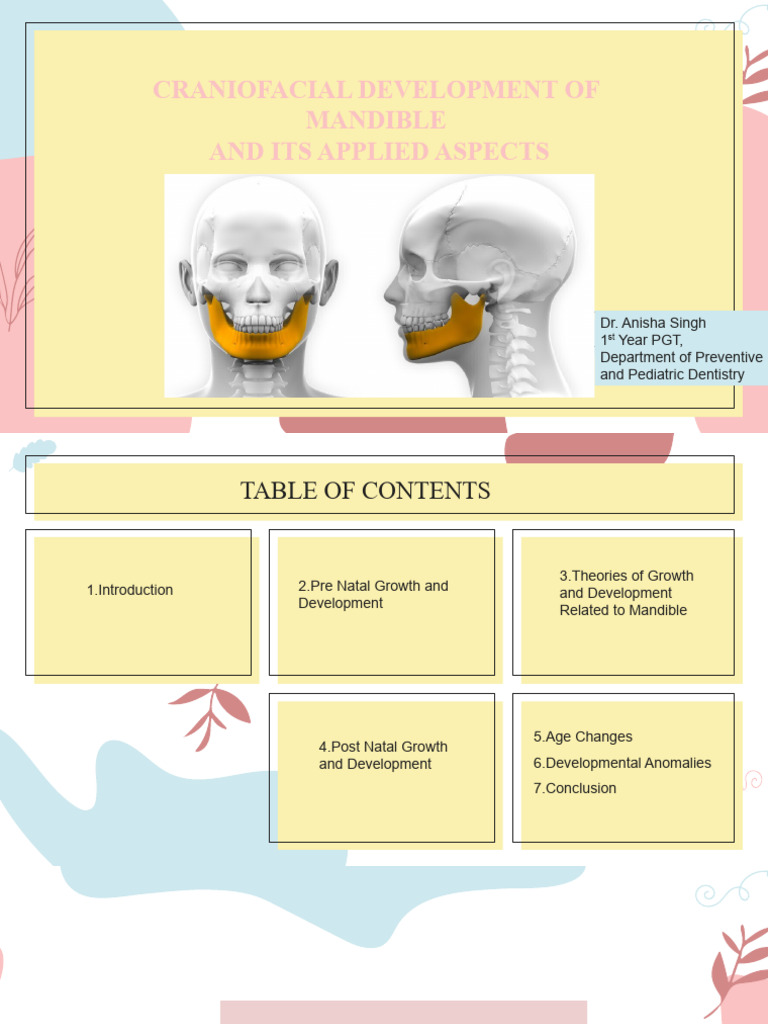 Mandible Craniofacial Development | PDF | Human Head And Neck ...
