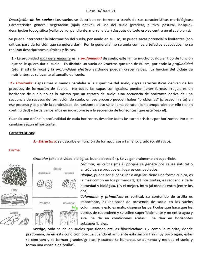 Descripcion de Suelos Practico | PDF | Suelo | Materiales naturales