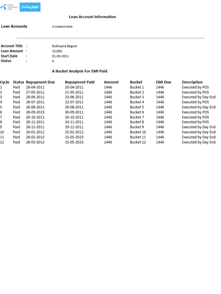 Telenor Loan Formate | PDF
