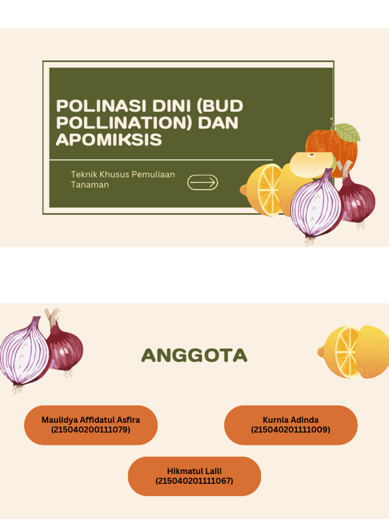 Kelompok 7 - Polinasi Dini Dan Apomiksis - Jeruk - PPT PDF | PDF