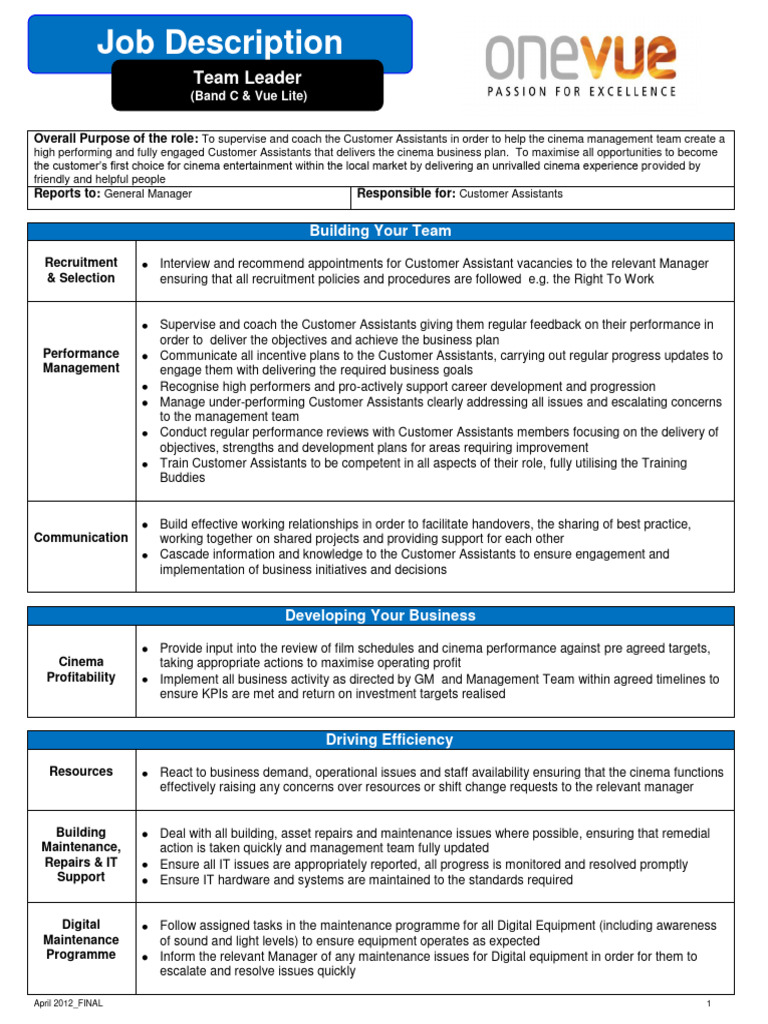 TEAM LEADER - BAND C - VUELITE - Job Description | PDF | Regulatory ...