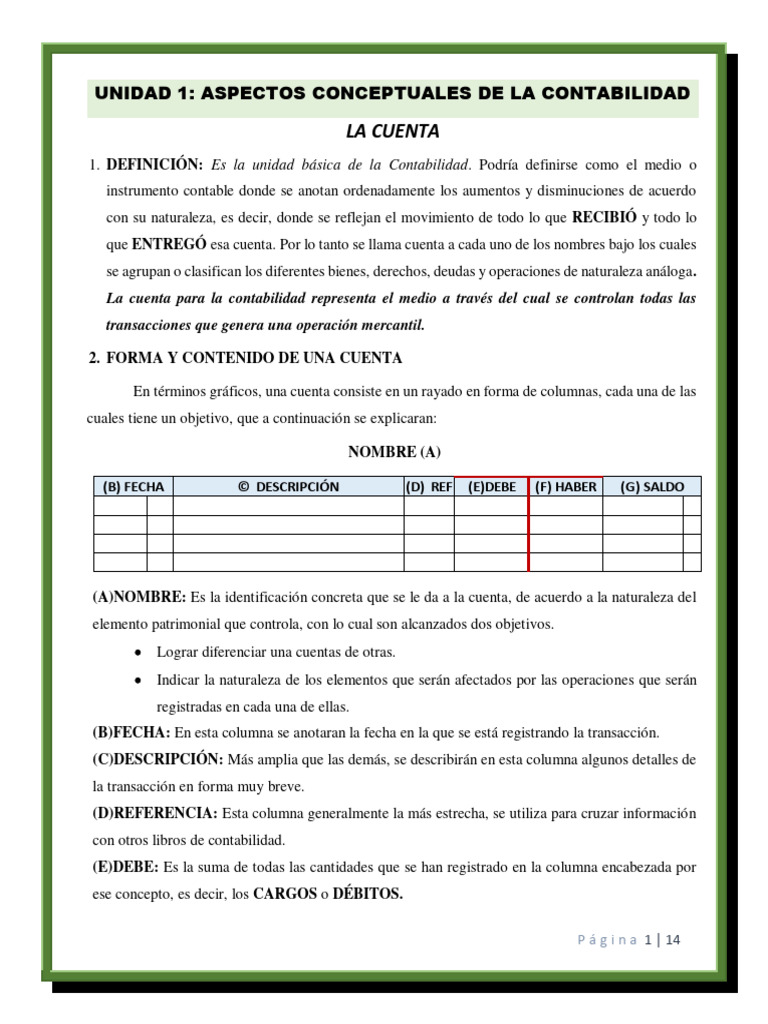 Unidad I La Cuenta - Clasificacion de Cuentas Adaptadas A La Ven-Nif ...