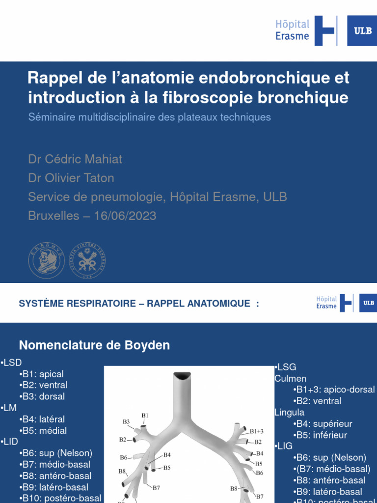 Anatomie Endobronchique et Fibroscopie | PDF | Système respiratoire ...