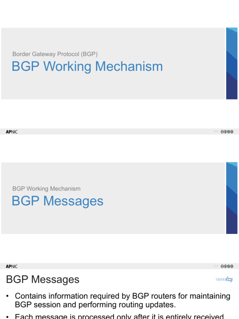 d1 s1 BGP Working Mechanism | PDF | Router (Computing) | Networking ...