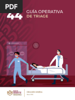 Códigos de Triage en México IMSS | PDF