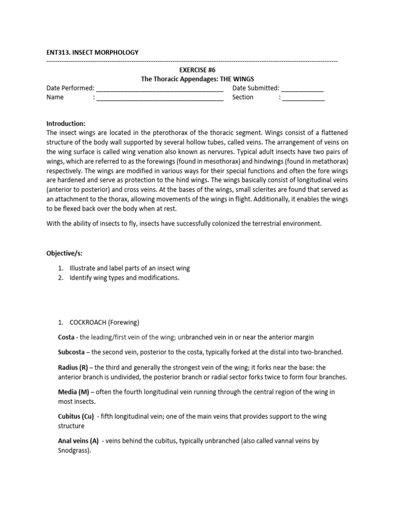 Lab 6 - The Thoracic Appendages The WINGS | PDF | Insects | Arthropodology