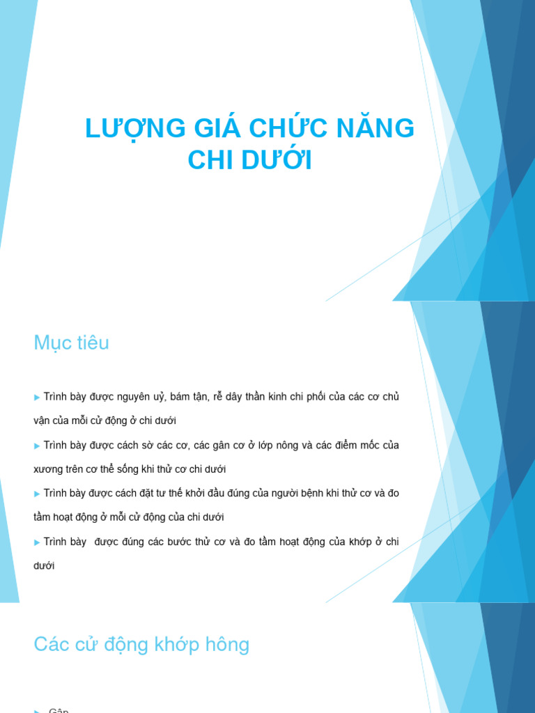 4.lư NG Giá CH C Năng Chi Dư I | PDF