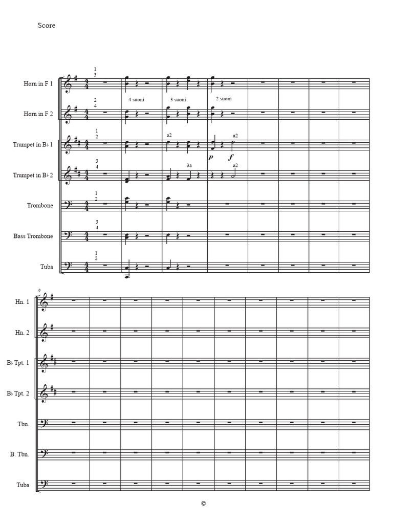 Ottoni - Orchestra - Score | PDF | Elementary Organology | Musicology