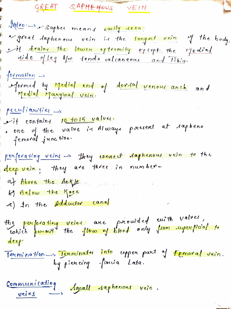 Complete Anatomy Handwritten Notes | PDF