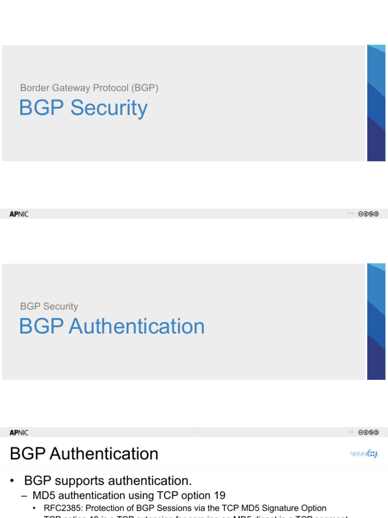 d1 s4 BGP Security | PDF | Transmission Control Protocol | Internet Protocols