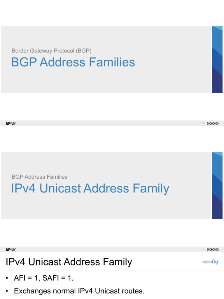 d1 s2 BGP Address Families | PDF | Ip Address | Network Protocols