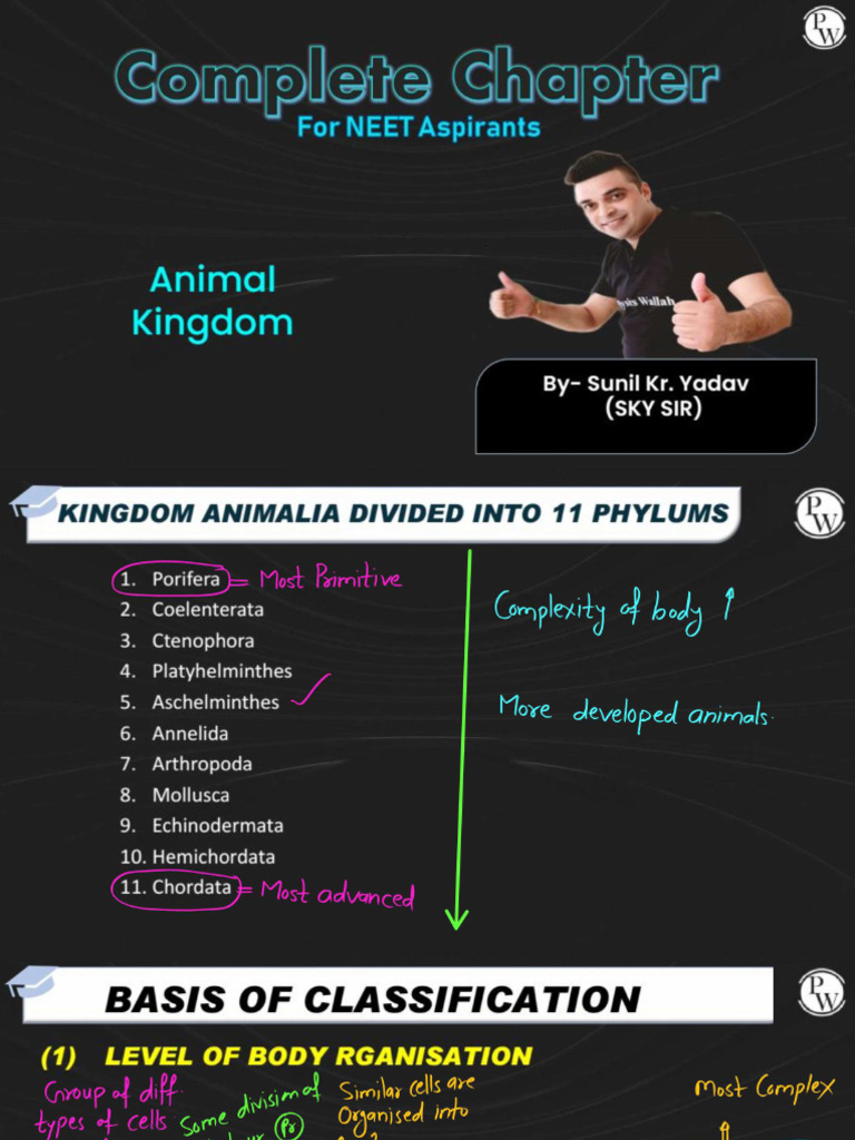 ANIMAL KINGDOM _ Class Notes __ NEET Mindmap | PDF