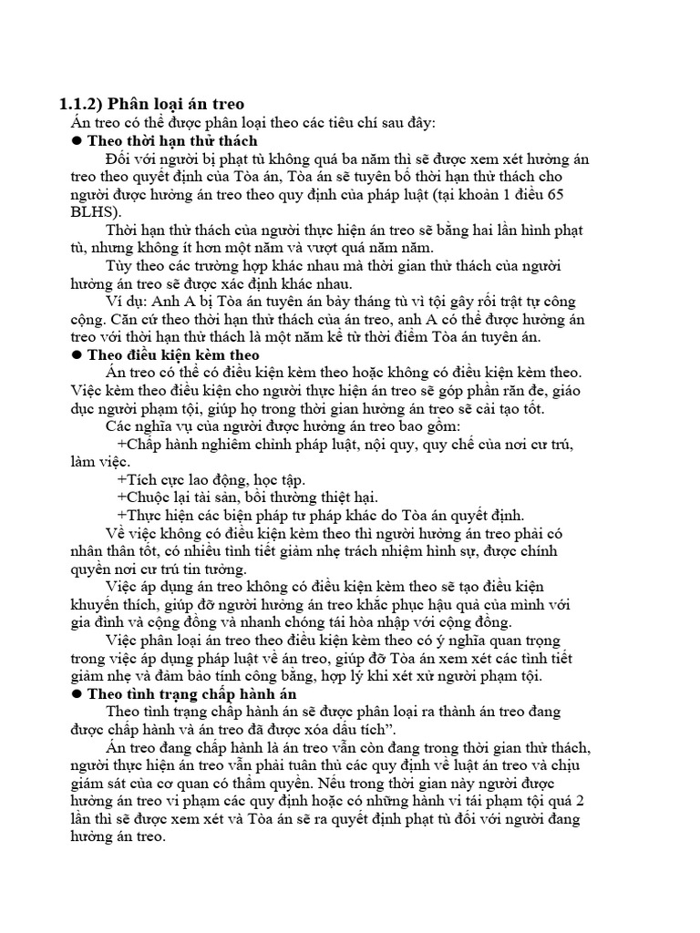 tiểu luận pldc | PDF