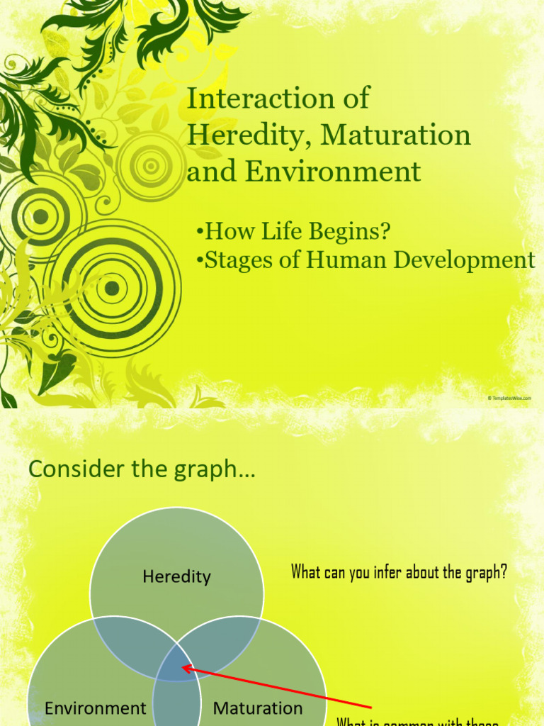 M1 Heredity and Environment2. Updated Psychology File | PDF | Heredity ...