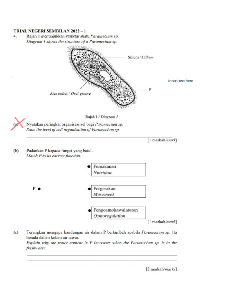 Exercise CHP 2 Biology F4 2024 | PDF