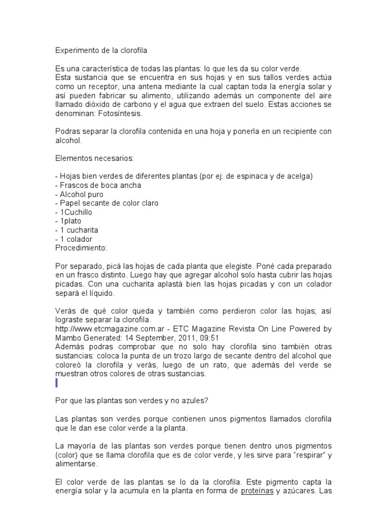 Experimento | PDF | Plantas | Hoja