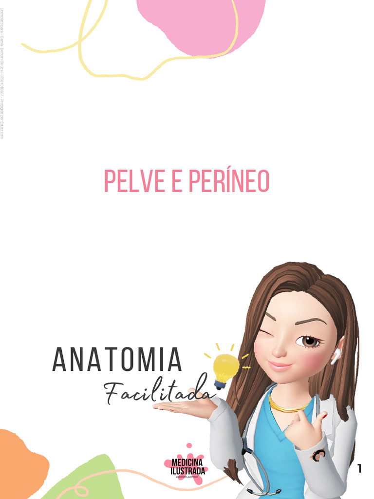 Pelve e Perineo | PDF | Pélvis | Anatomia