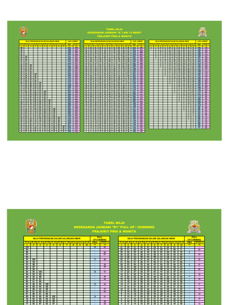 Tabel Valeurs Garjas TNI AD | PDF