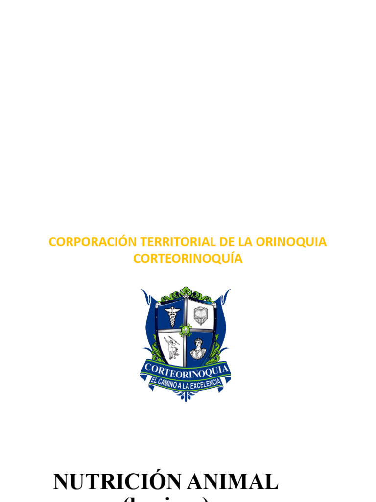 03 NUTRICION ANIMAL | PDF | Digestión | Sistema digestivo humano