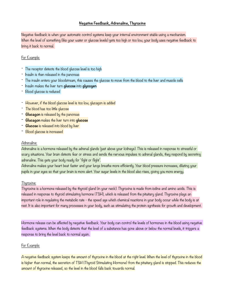 Negative Feedback, Adrenaline, Thyroxine | PDF | Hormone | Glucose