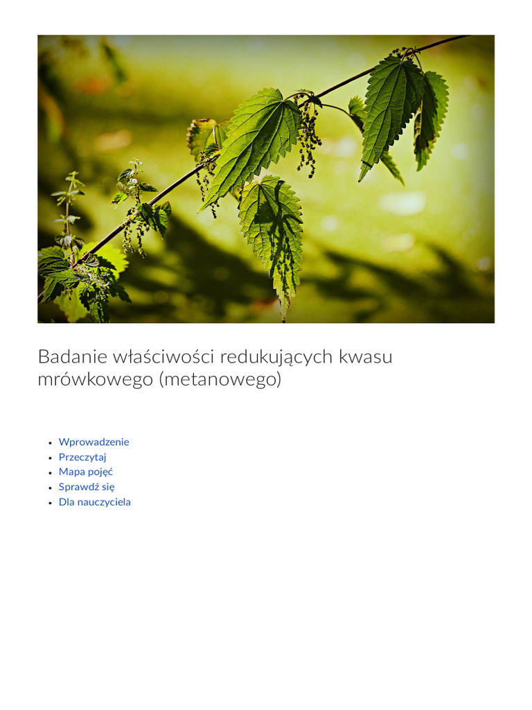 Badanie Wlasciwosci Redukujacych Kwasu Mrowkowego Metanowego | PDF