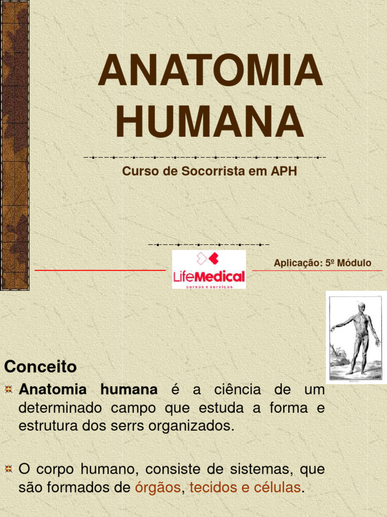 5 Anatomia Humana Pdf Pdf Corpo Humano Anatomia