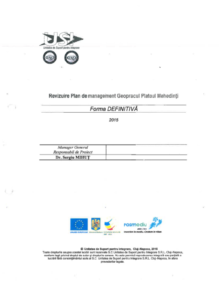 Plan de Management | PDF
