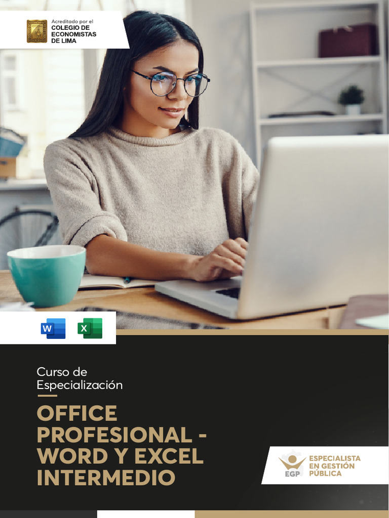 Office Profesional - Word y Excel Intermedio | PDF | Microsoft Excel ...