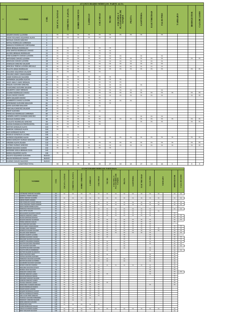 Control de Avance - Alto y Bajo 30-01-21 | PDF