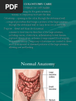 RVS Codes | PDF | Abdomen | Gastroenterology