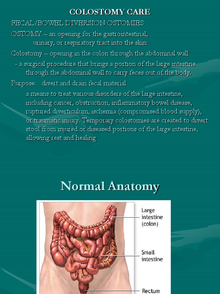 Colostomy Care1 | PDF | Large Intestine | Gastrointestinal Tract