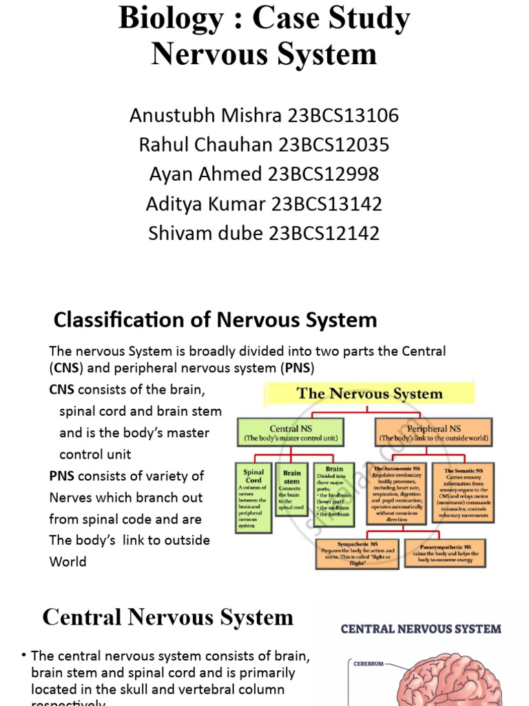 Biology Case Study | Download Free PDF | Central Nervous System ...