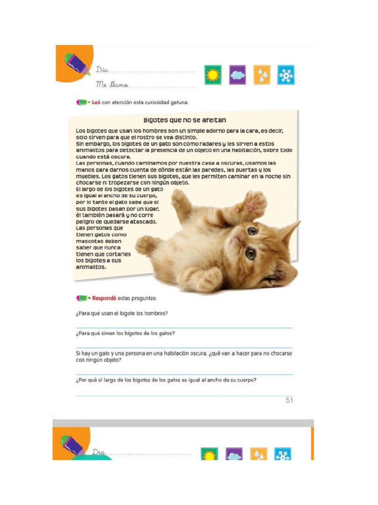 Lecturas Cortas Variadas para 4to Grado | PDF