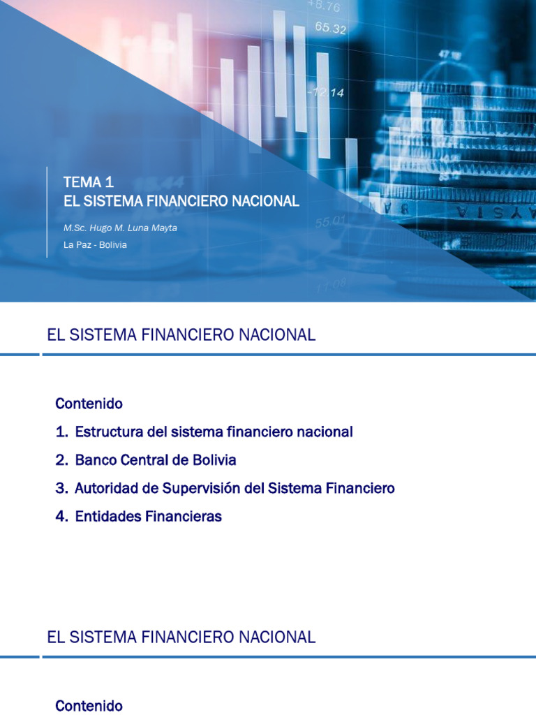 Estructura del Sistema Financiero Nacional | PDF | Sistema financiero ...
