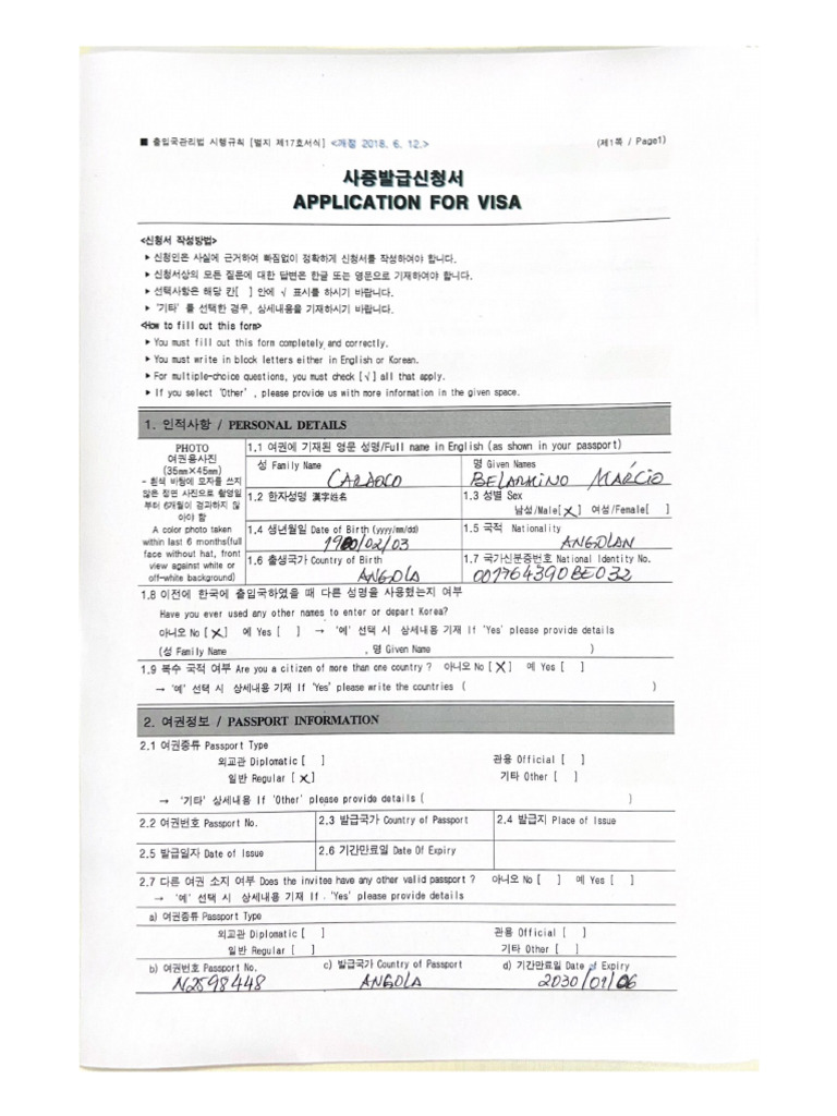 Application for Visa | PDF