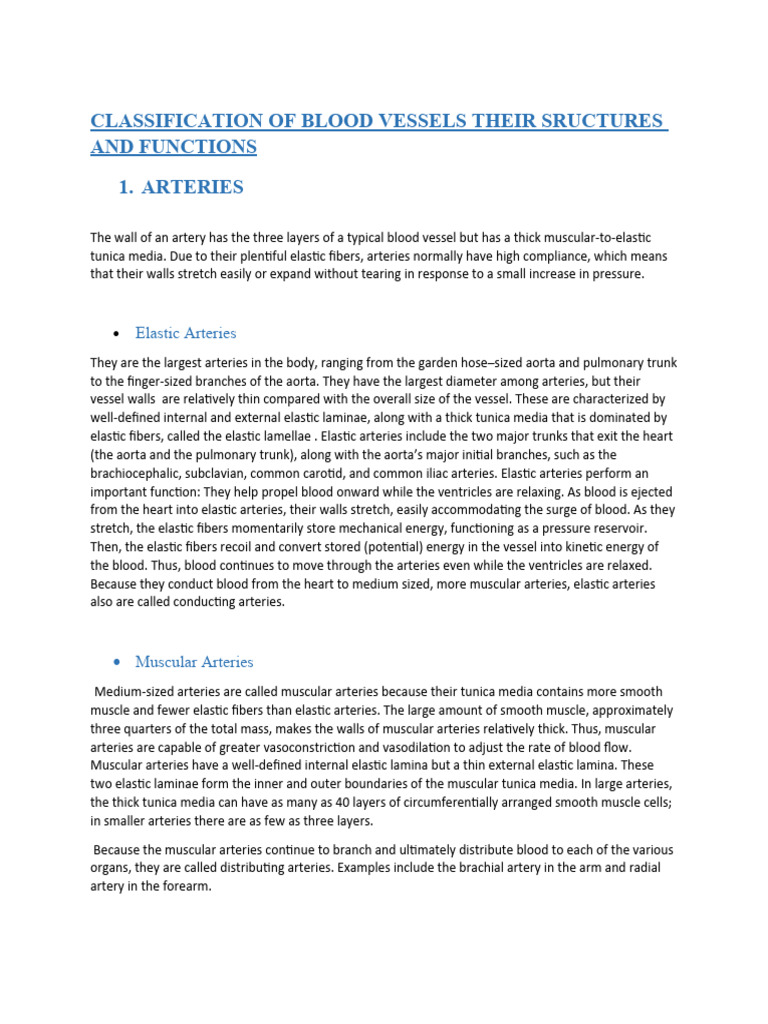 Classification of Blood Vessels | PDF | Vein | Artery