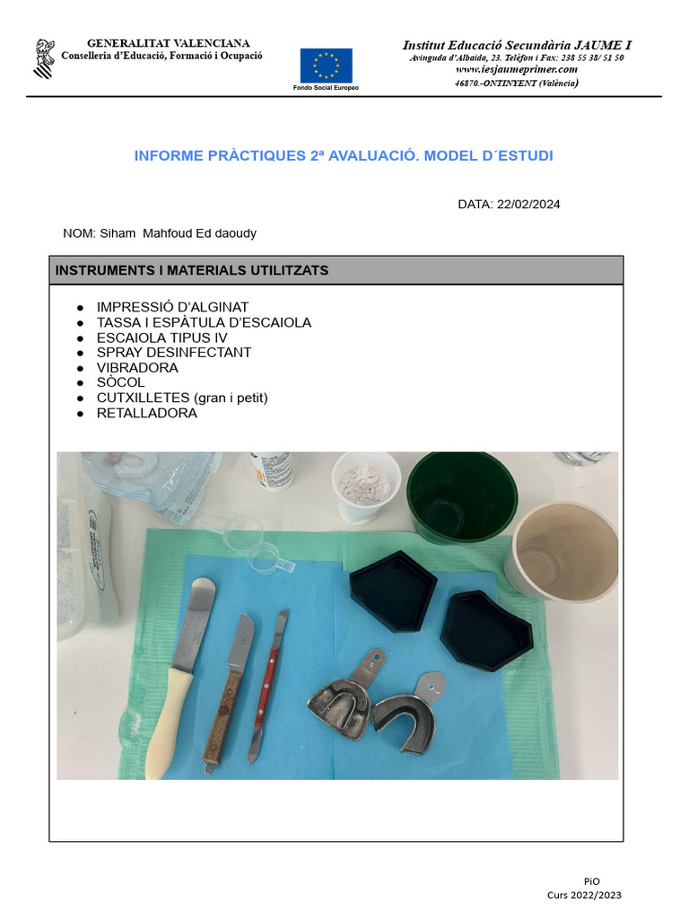 INFORME PRÀCTIQUES. Model D Estudi SIHAM | PDF