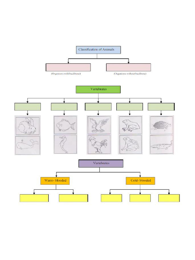 Science F2 Chapter 1 Exercise | PDF